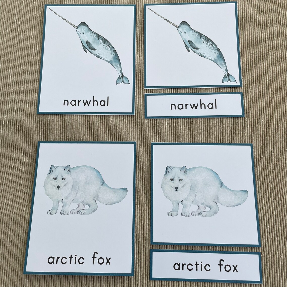 Arctic Animals 3 Part Cards. Montessori Winter Printable - Etsy