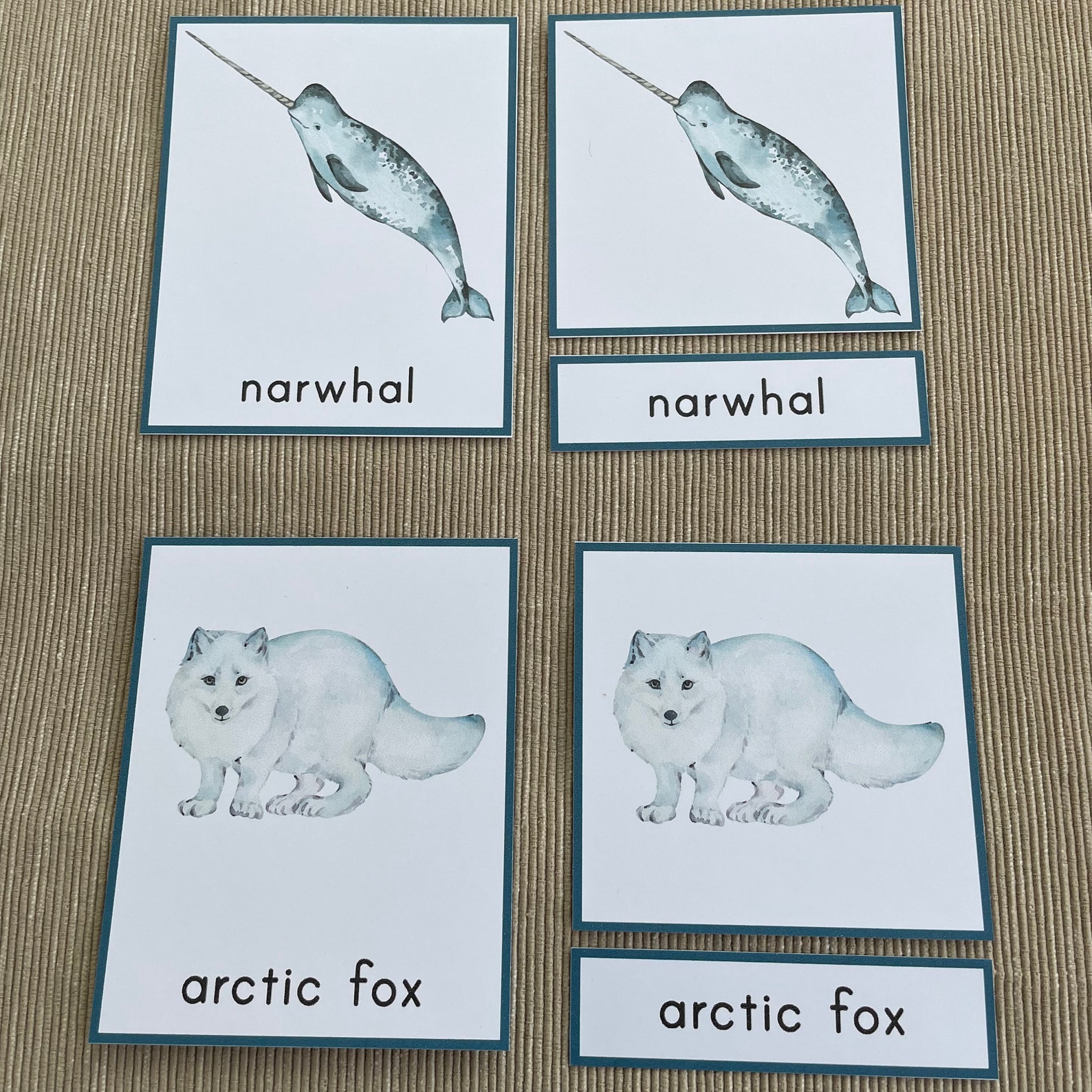 Arctic Animals 3 Part Cards. Montessori Winter Printable - Etsy