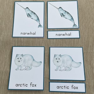 Arctic Animals 3 Part Cards. Montessori Winter Printable Vocabulary ...