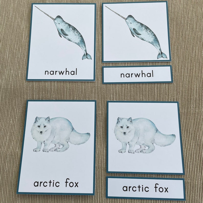 Arctic Animals 3 Part Cards. Montessori Winter Printable - Etsy