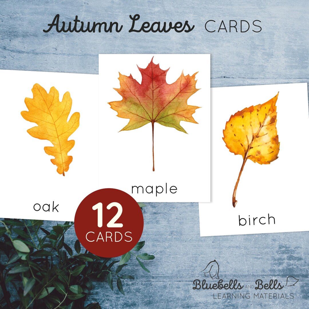Autumn Leaf Identification Mini Flashcards. Watercolor Fall Printable ...