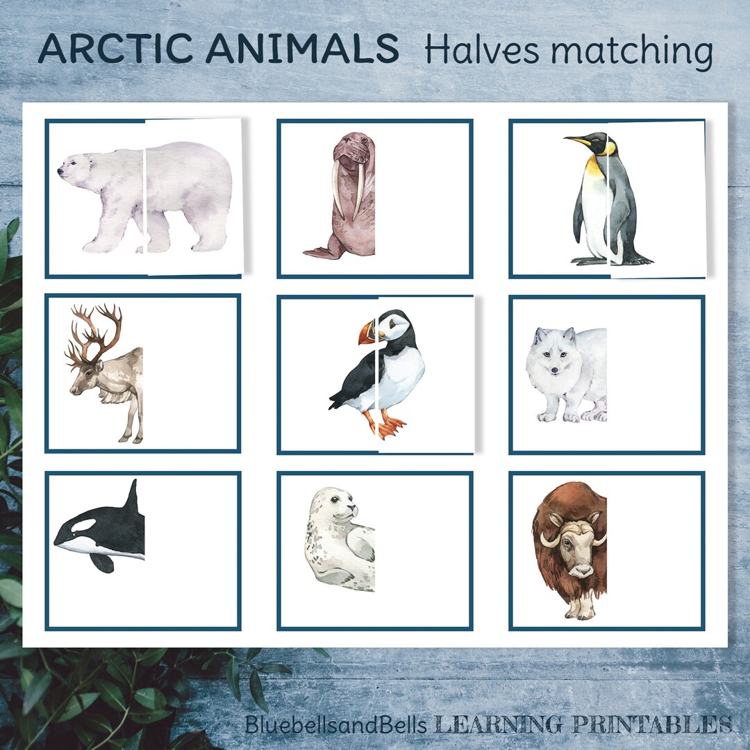 Arctic Animals Puzzle Printable. Halves Matching Toddler Activity. - Etsy