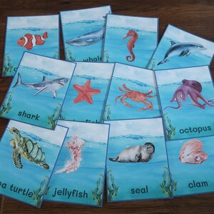 Printable Ocean Animals Flashcards for Toddlers and Preschoolers. - Etsy