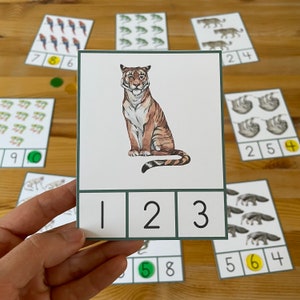 Rainforest Animals Count and Clip Cards 1-10. Preschool Math Printable ...