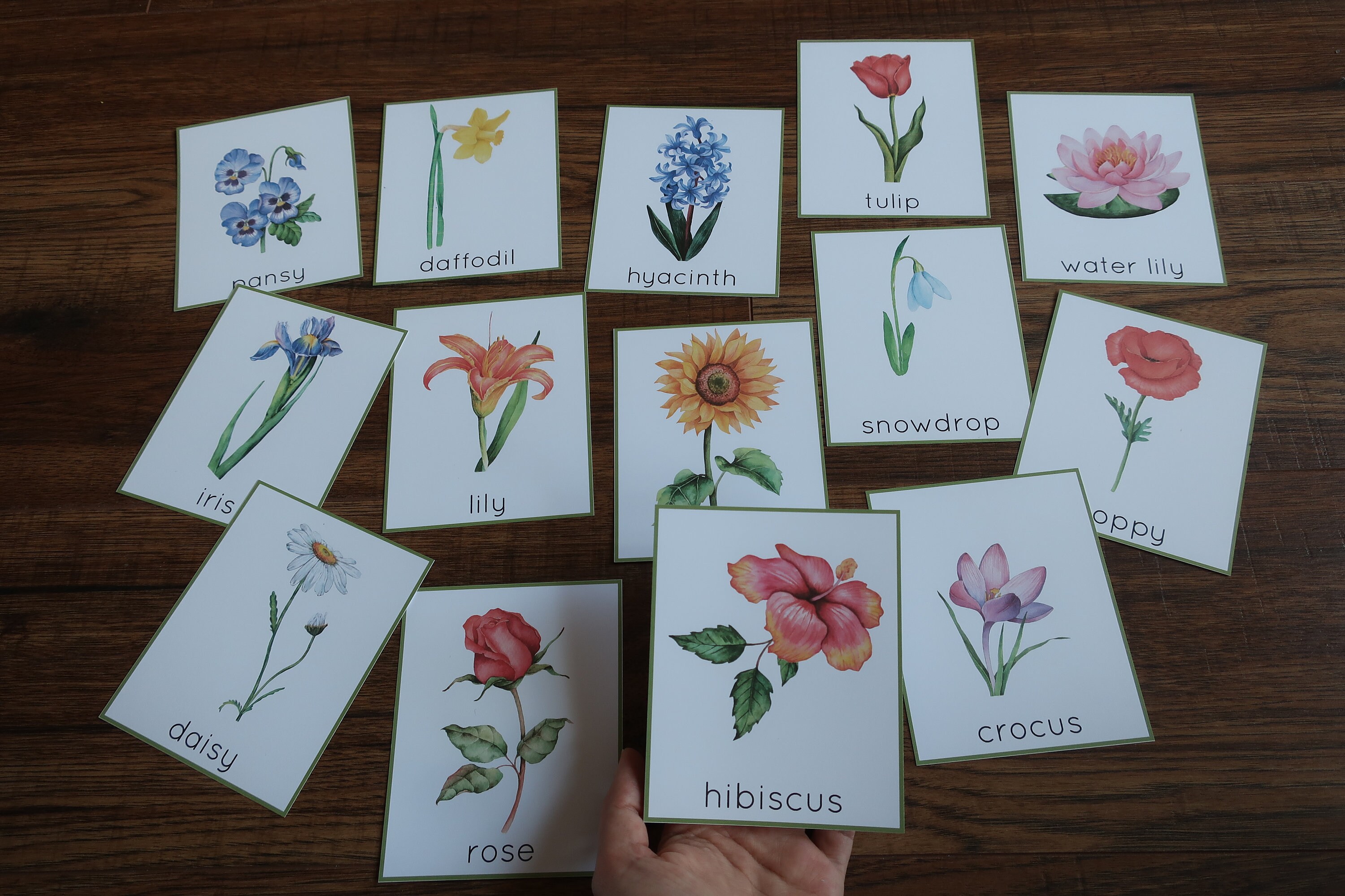 Flower Identification Printable Cards and Poster. Montessori - Etsy