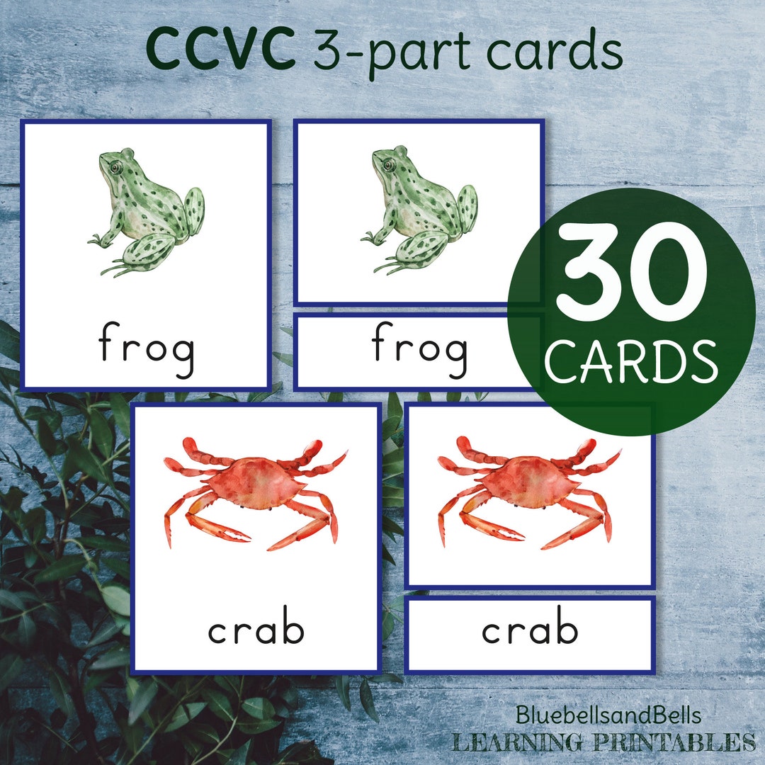 Montessori Printable CCVC Words 3-part Cards. Beginning Blends Reading ...