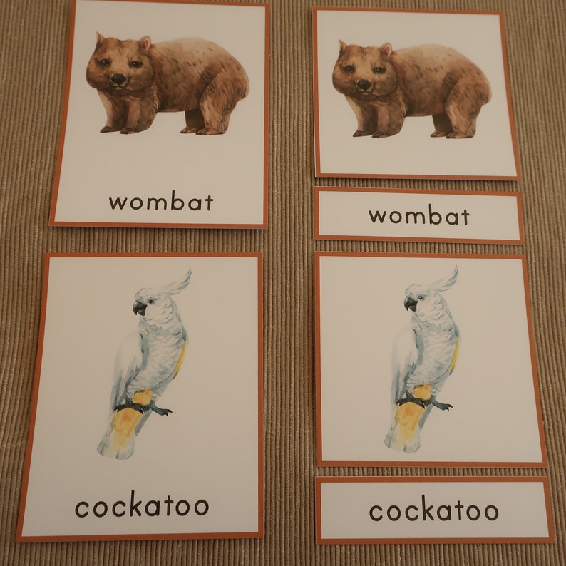 Australia Oceania Animals Montessori Printable 3 Part Cards. - Etsy