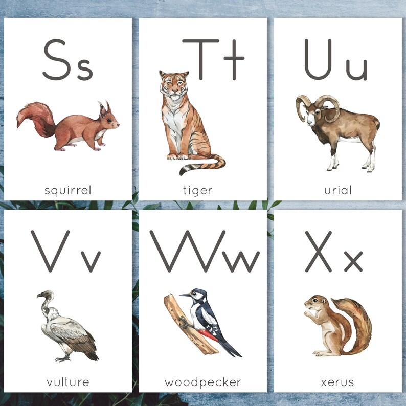 Animal Alphabet Cards. Watercolor Letter Flash Cards. - Etsy