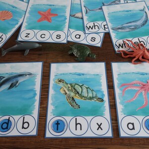 Ocean Animal Printable Phonics Clip Cards. Beginning Sound Activity ...