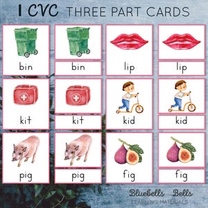 Montessori Printable CVC Phonics 3-part Cards. CVC Words Reading ...
