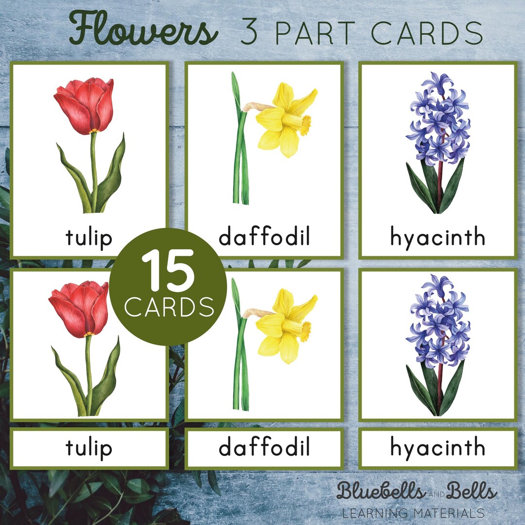 Montessori Spring Flowers 3 Part Cards. Flower Identification Cards for ...