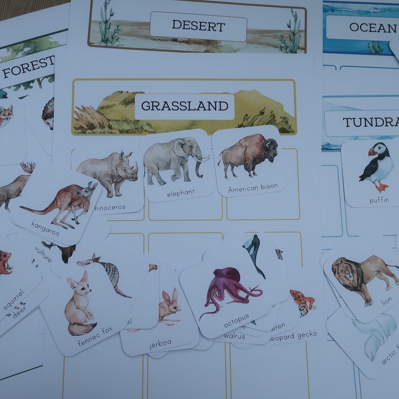 Animal Habitats Sorting Activity and Chart. Montessori - Etsy