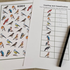 Birds Preschool Graphing. Spring Montessori Math Printable for ...