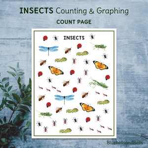 Insects Preschool Printable Graphing. Kindergarten Math Activity. - Etsy