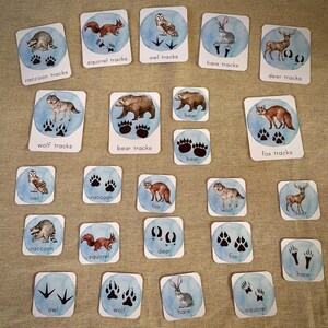 Winter Woodland Animal Tracks Flashcards. Montessori Winter Printable ...