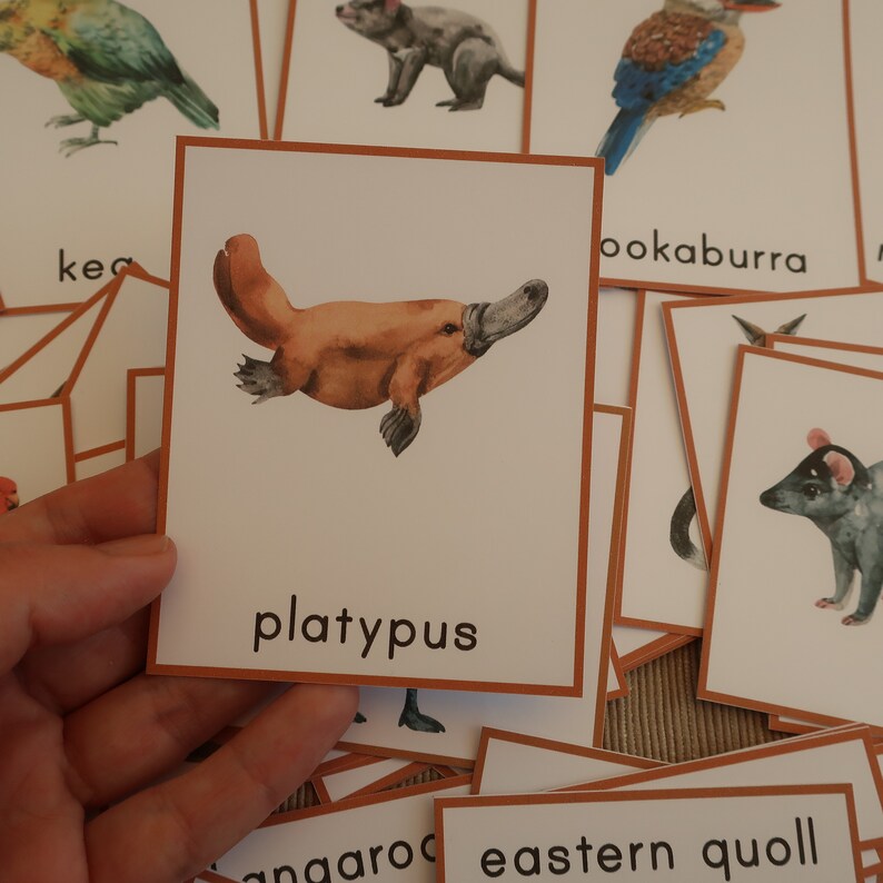 Australia Oceania Animals Montessori Printable 3 Part Cards. - Etsy