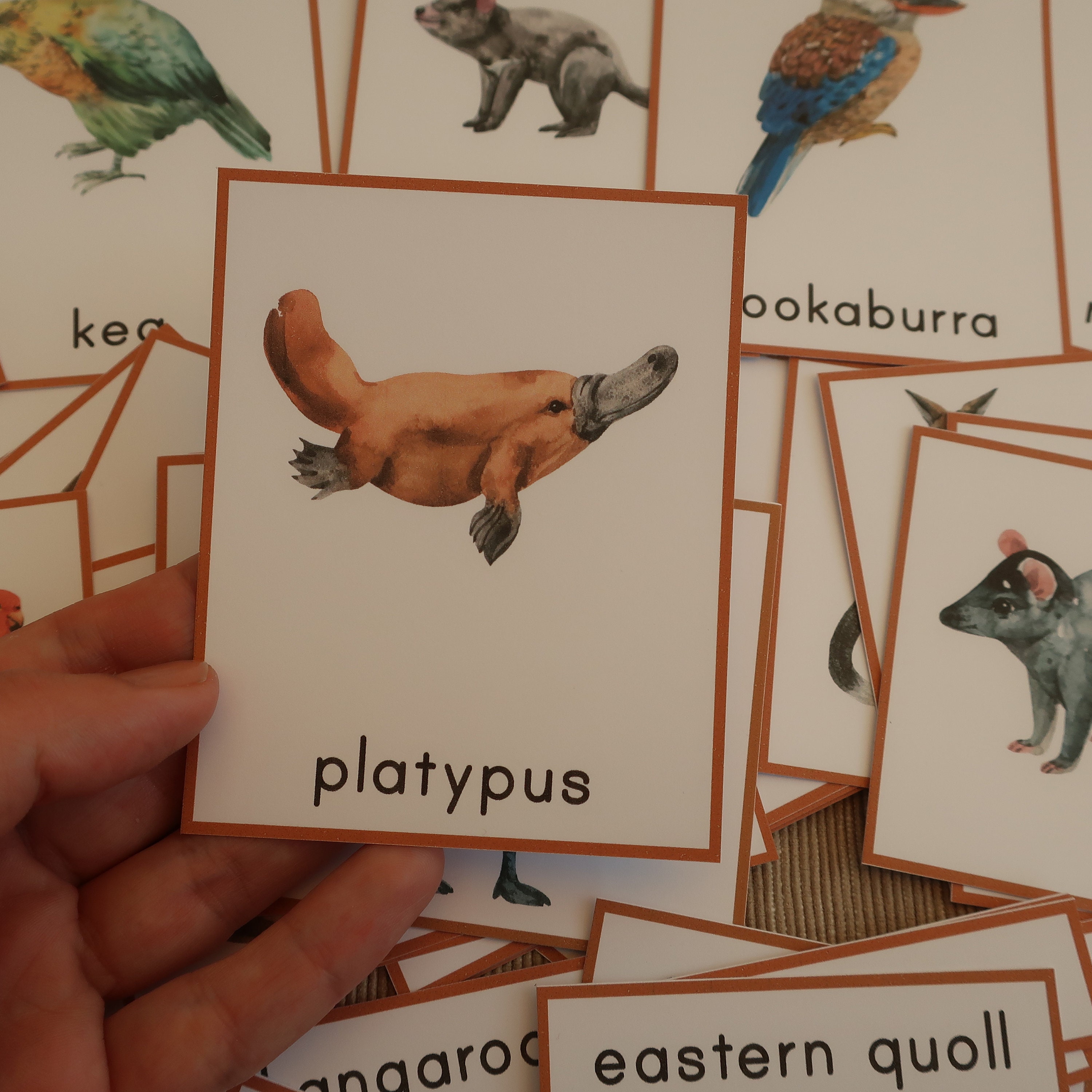 Australia Oceania Animals Montessori Printable 3 Part Cards. - Etsy