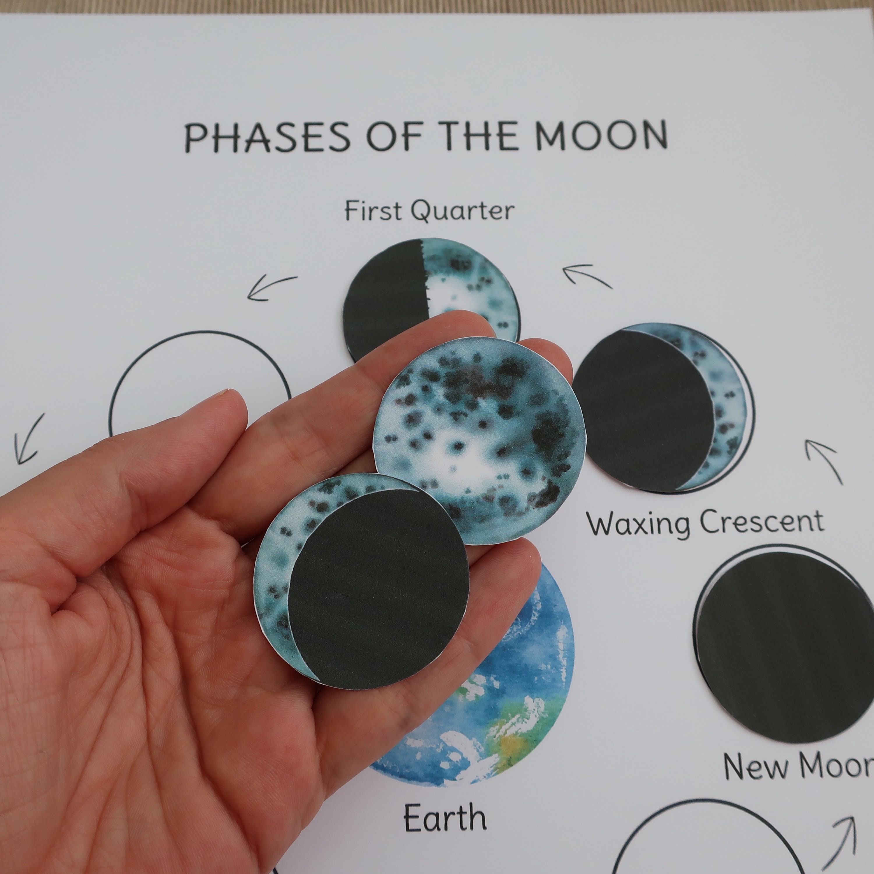 Phases of the Moon Printable Poster Matching Activity and | Etsy