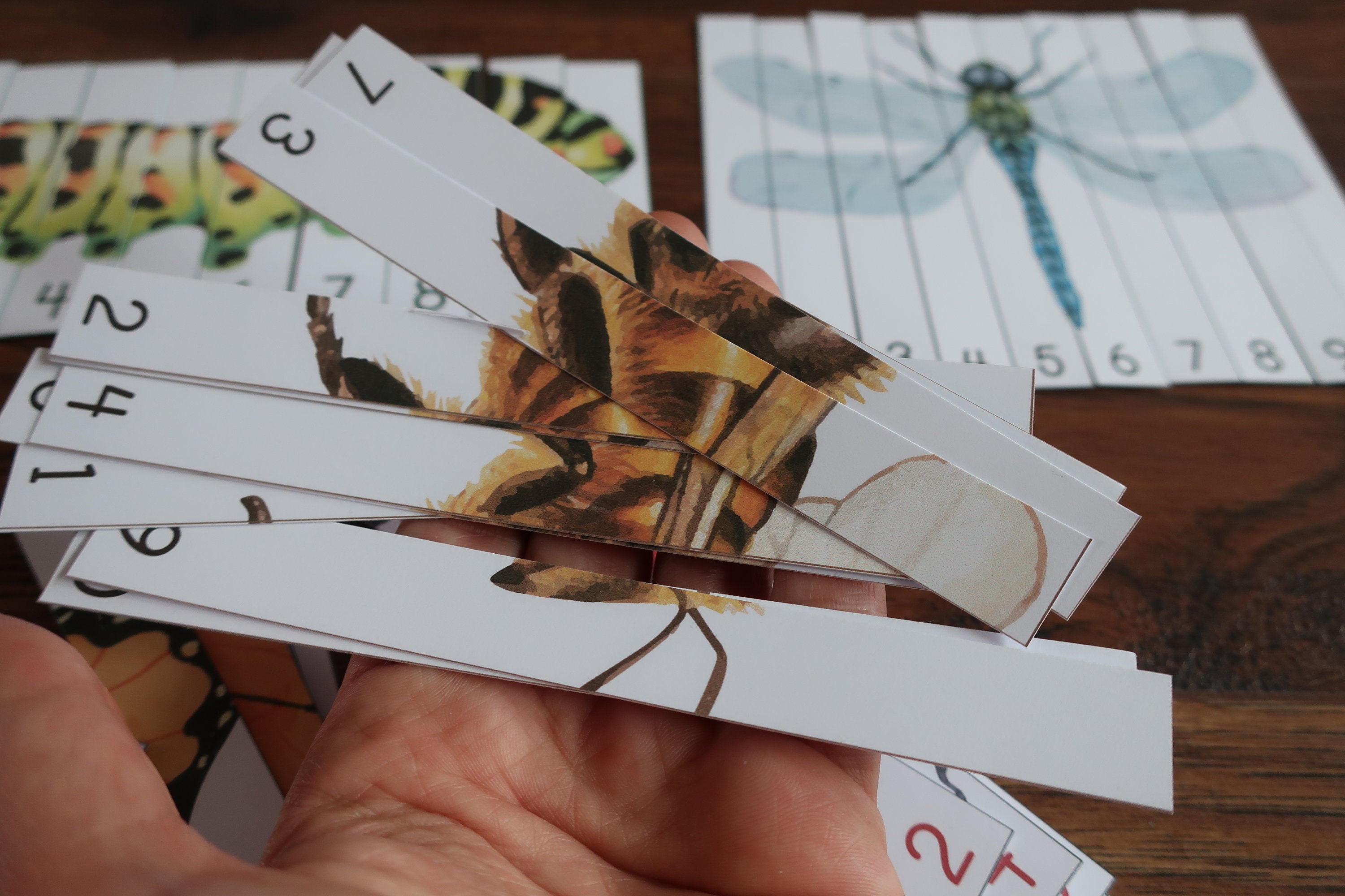Insect Preschool Printable Number Sequence Puzzles 1-10. Montessori ...