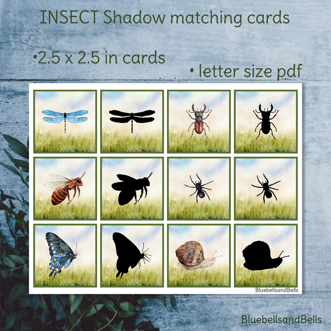 Insect shadow matching cards. Montessori pre-reading printable | Etsy