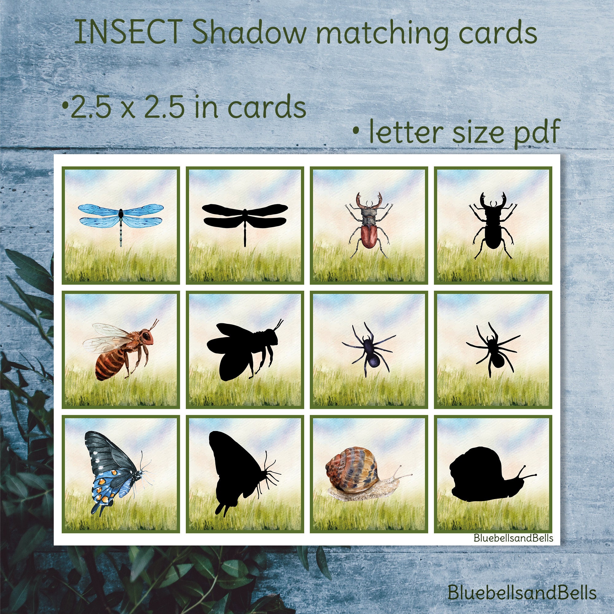 Insect shadow matching cards. Montessori pre-reading printable | Etsy