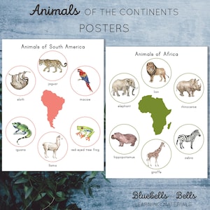 Animals of the Continents Posters and Sorting Activity. Montessori ...