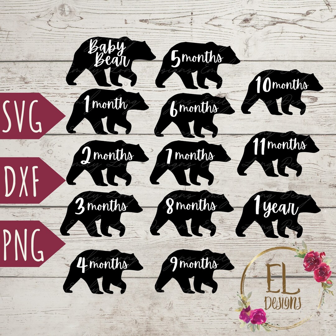 Baby Monthly Milestones SVG | Baby Boy Onesie SVG | Baby Bear Svg ...