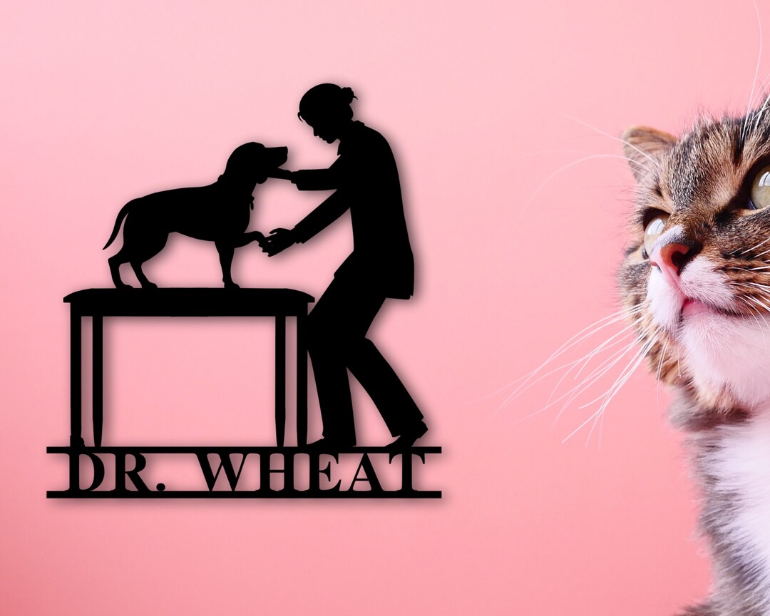 Veterinarian Sign With Last Name, Personalized Vet Gift, Dog Lover Name ...