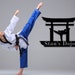 Karate Metal Wall Art Metal Karate Decor Karate Sign Karate - Etsy