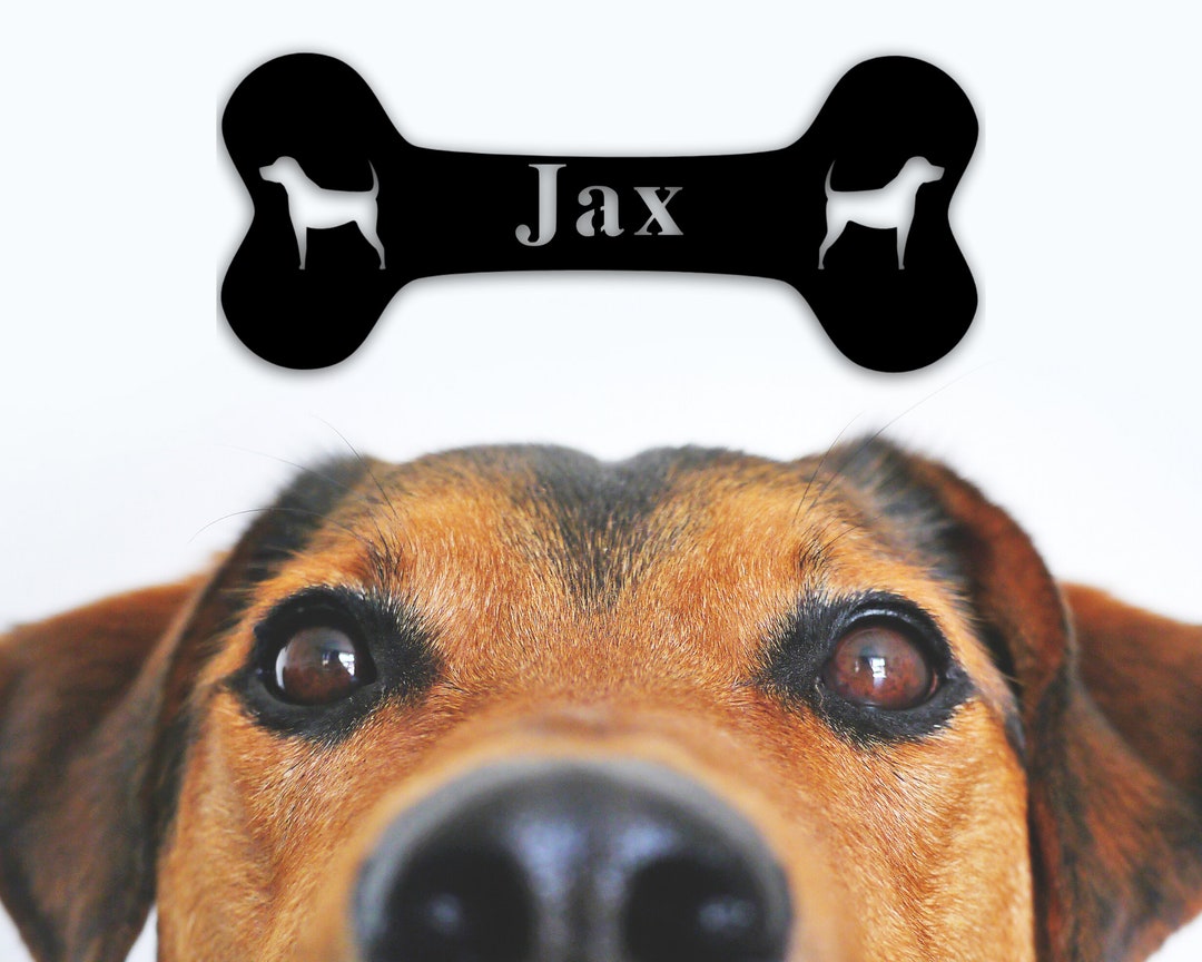 Pet Name Sign, Personalized Name Sign, Dog Name Sign, Pet Metal Sign ...