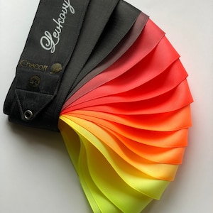 Rhythmic Gymnastics Ribbon. RG Ribbon Design, Decorating, Painting ...
