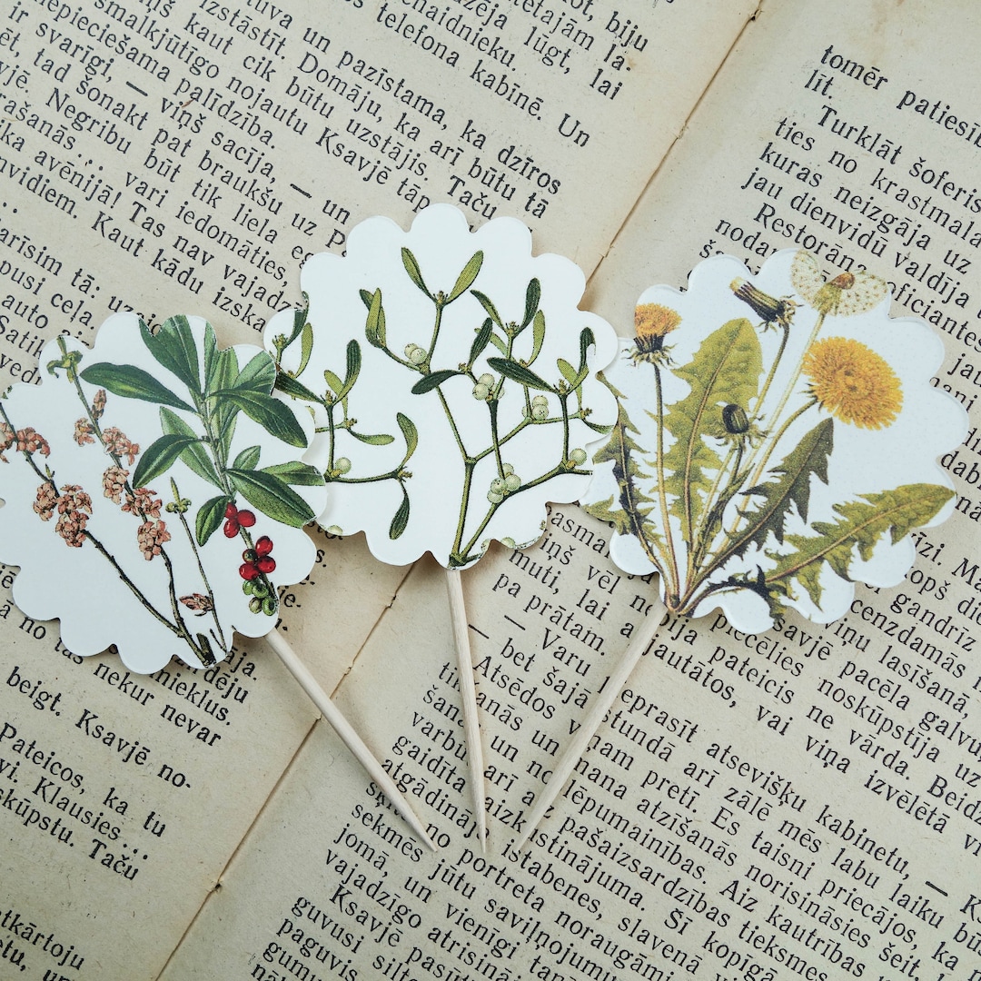 Botanical Cupcake Toppers, Botanical Party Decorations, Botanical Table ...