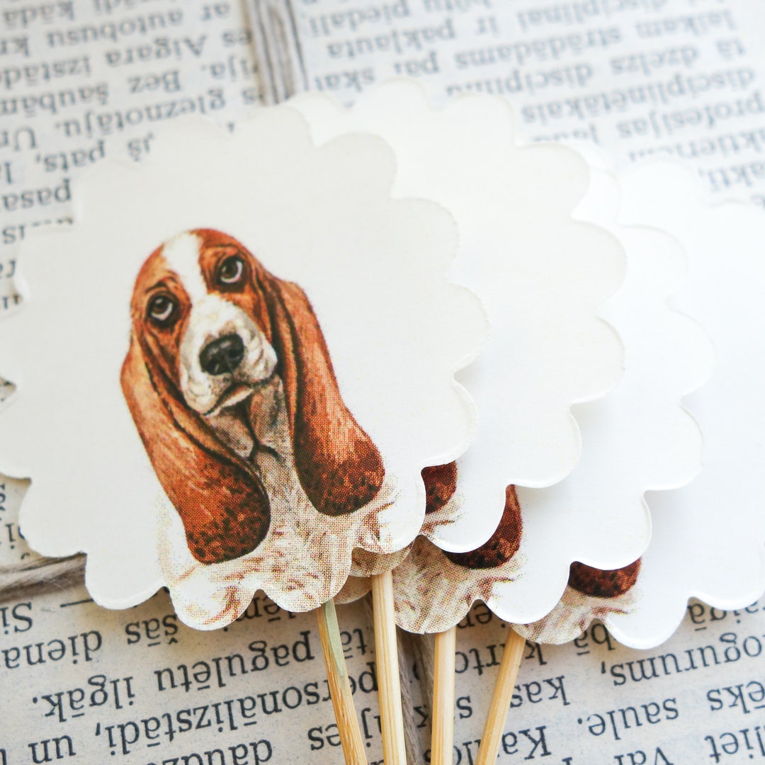 Baset Hound Decorations, Baset Hound Gifts, Dog Birthday Decor, Dog ...