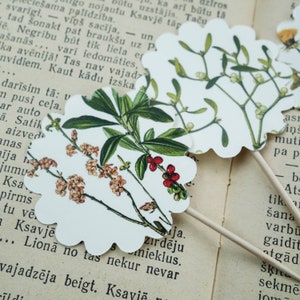 Botanical Cupcake Toppers, Botanical Party Decorations, Botanical Table ...