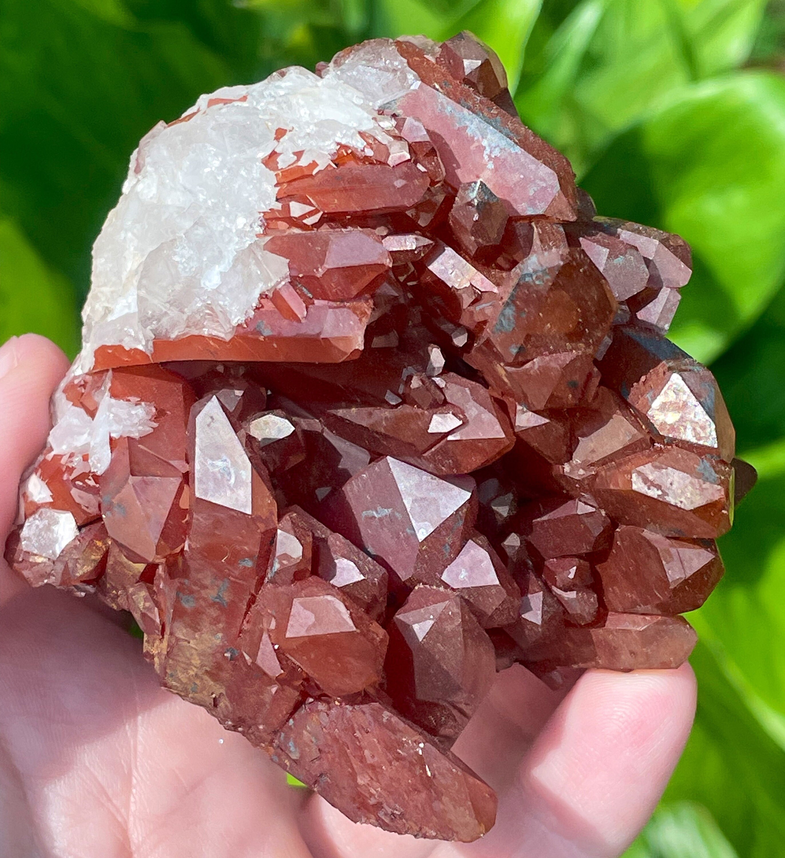 Raw Red Quartz