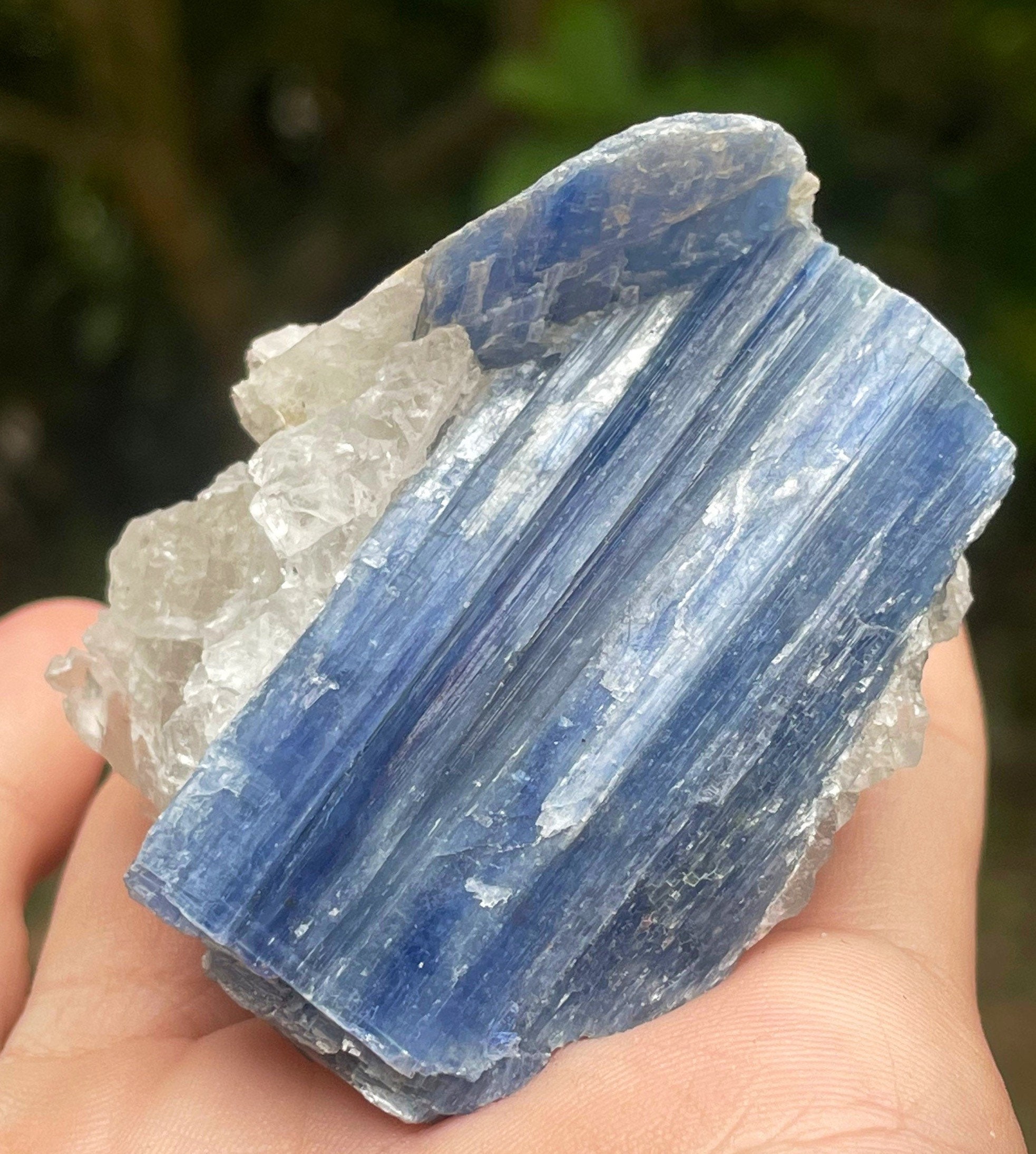 Home Décor 1 x BLUE KYANITE 100% Natural Specimen from Brazil Home ...