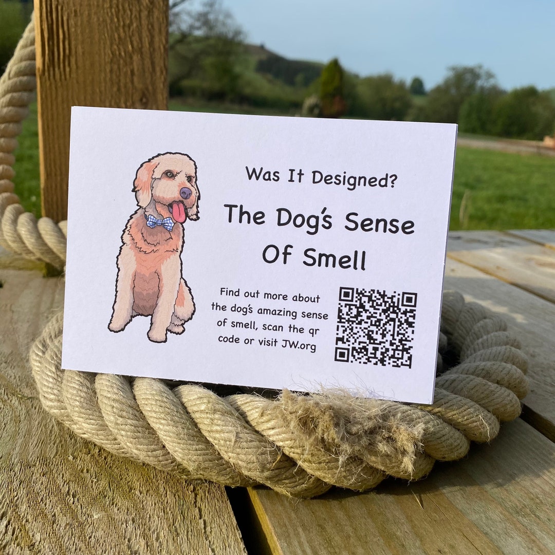 Postcards JW Dog Was It Designed Informal Witnessing - Etsy