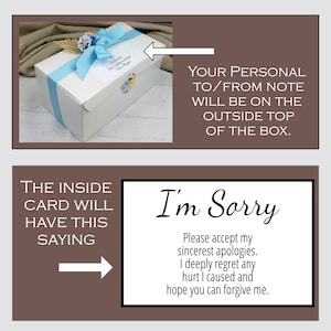 I'm Sorry Gift - Gift to Apologize - Apology Gift Basket - Thoughtful ...