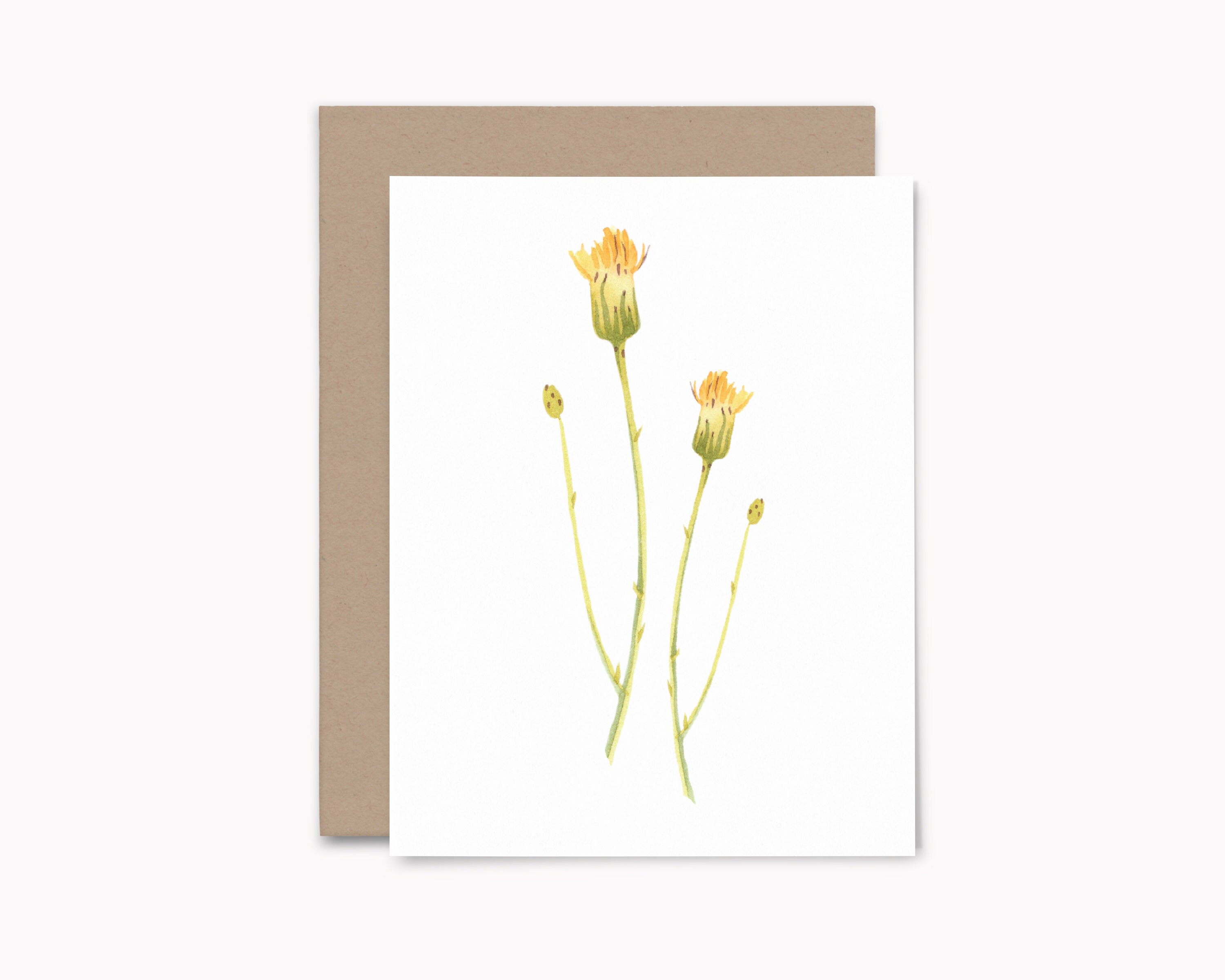 Wildflower Note Card Set Botanical Recycled Greeting Cards - Etsy