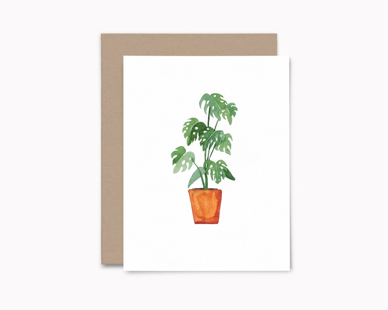 Set of 8 House Plant Note Cards Eco Friendly Potted Plant - Etsy
