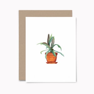 Set of 8 House Plant Note Cards, Eco Friendly Potted Plant Greeting ...