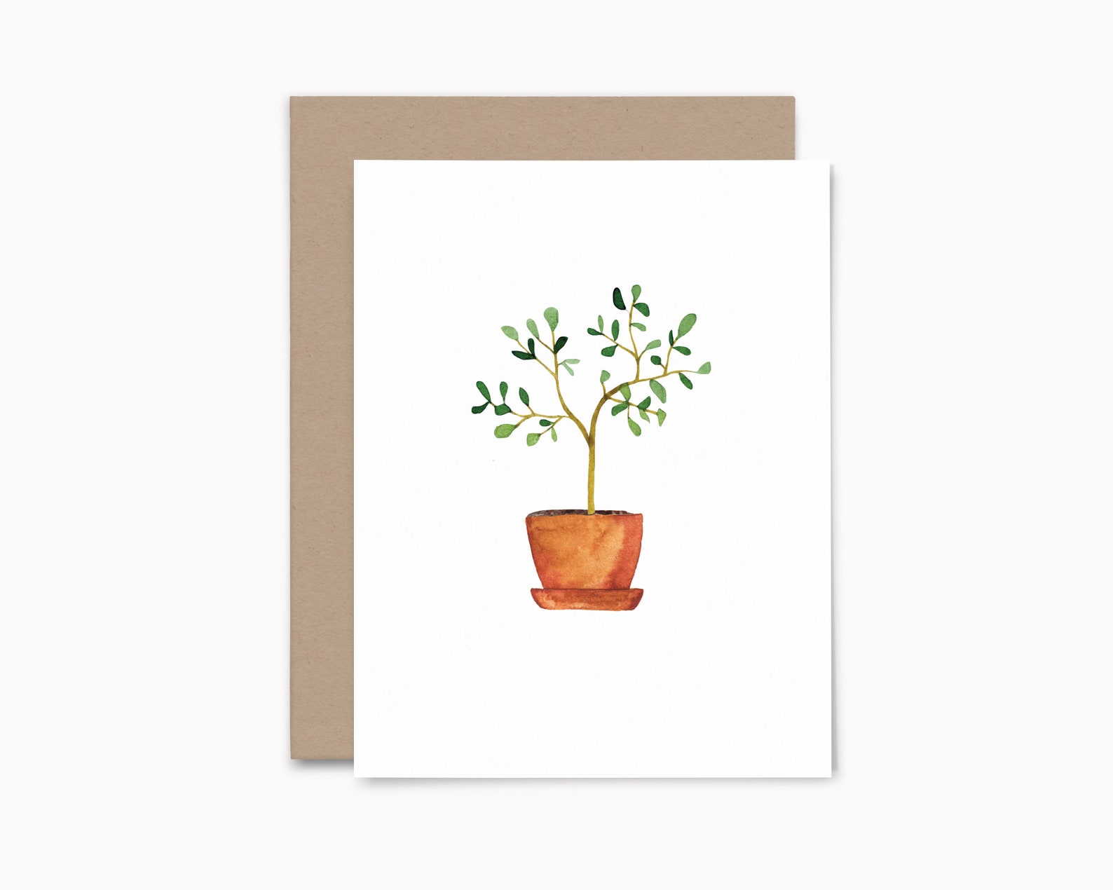 House Plant Note Cards Set of 8 Blank Recycled Paper Greeting | Etsy