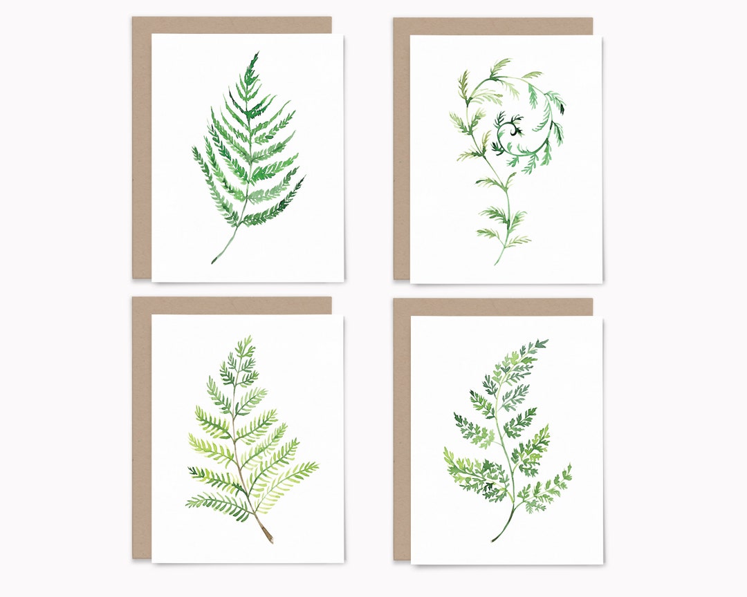 Botanical Fern Note Cards, Set of 8 Recycled Paper Greeting Cards With ...