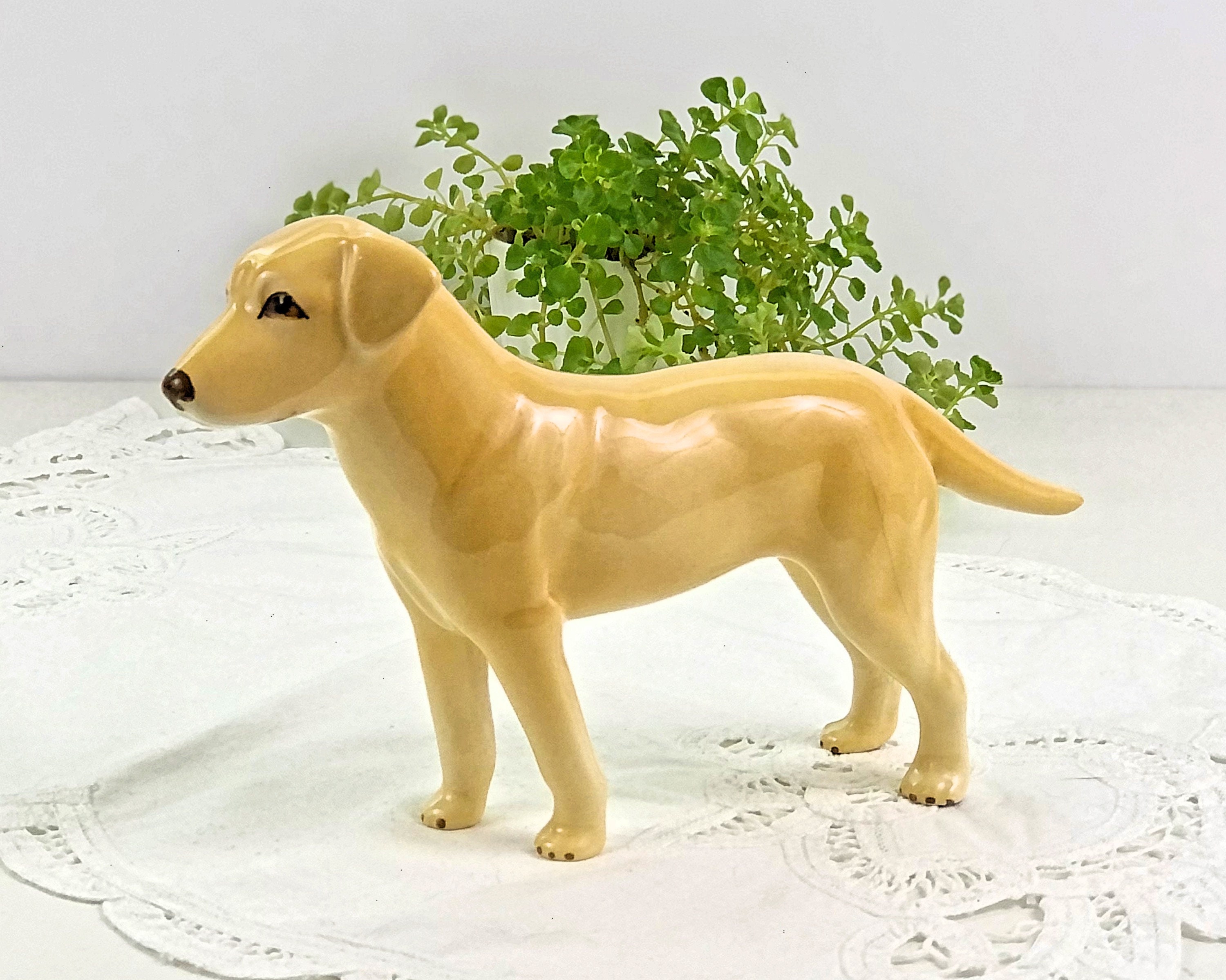 Vintage Sylvac Golden Labrador Figurine a Charming Piece From - Etsy