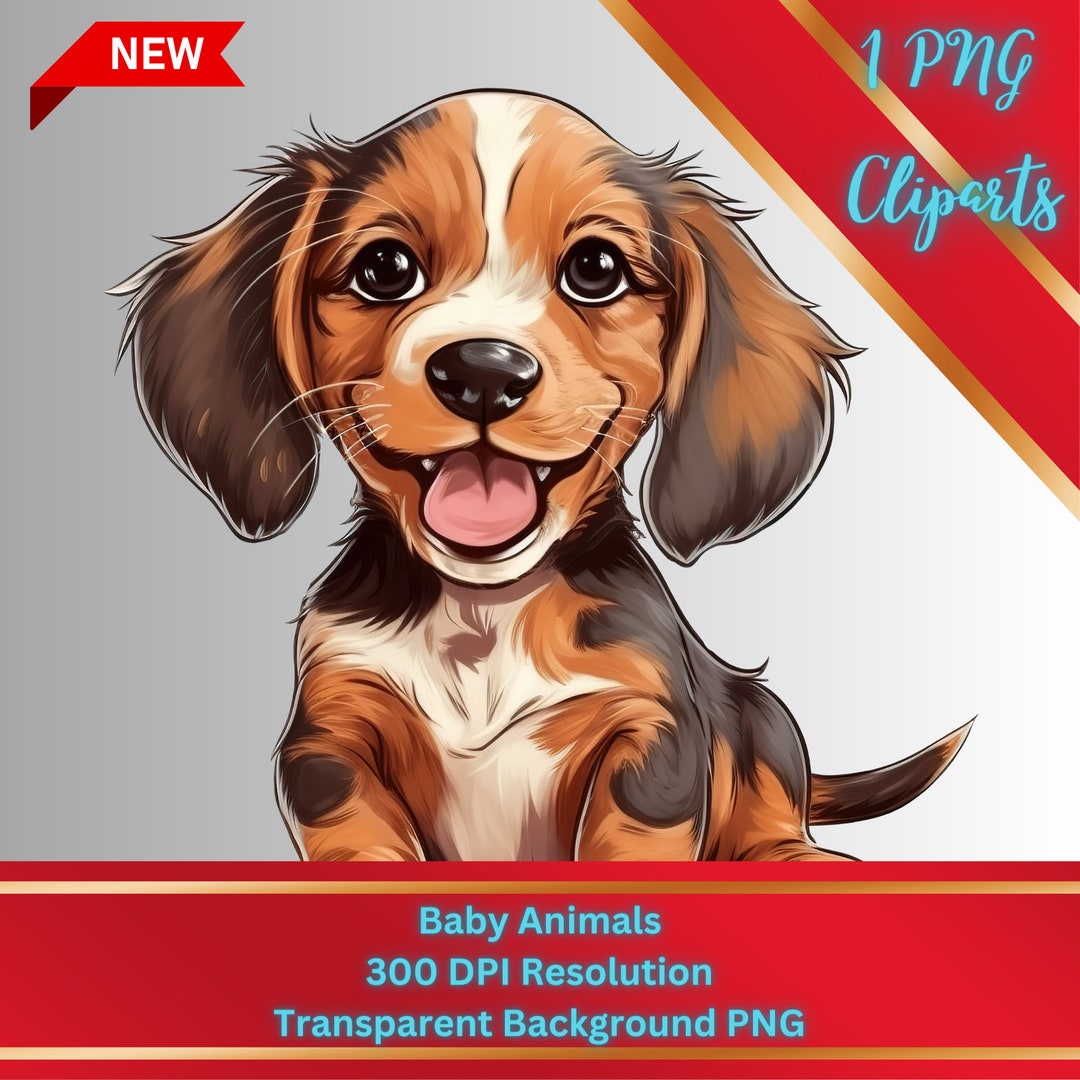 1x Baby Animals Clipart PNG Format Instant Download Through - Etsy