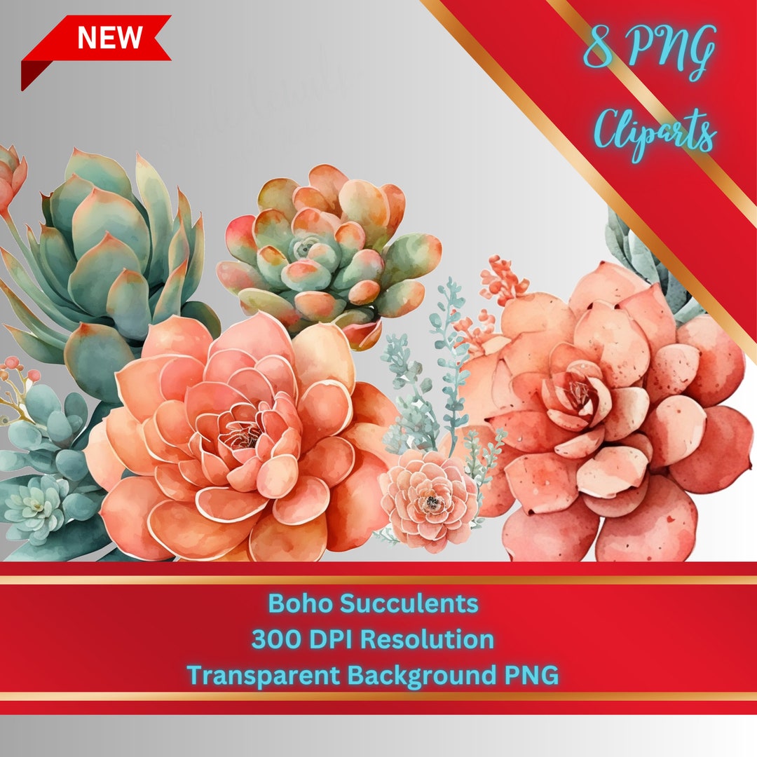 8pcs Boho Succulents Clipart Set PNG Format Instant Download for ...