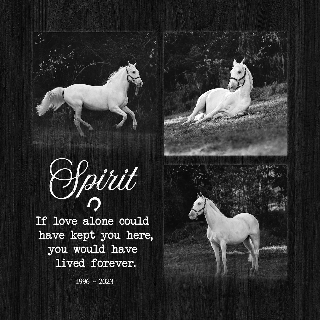 Personalized Horse Memorial Gift for Owner, Pet Memorial Photo Frame ...
