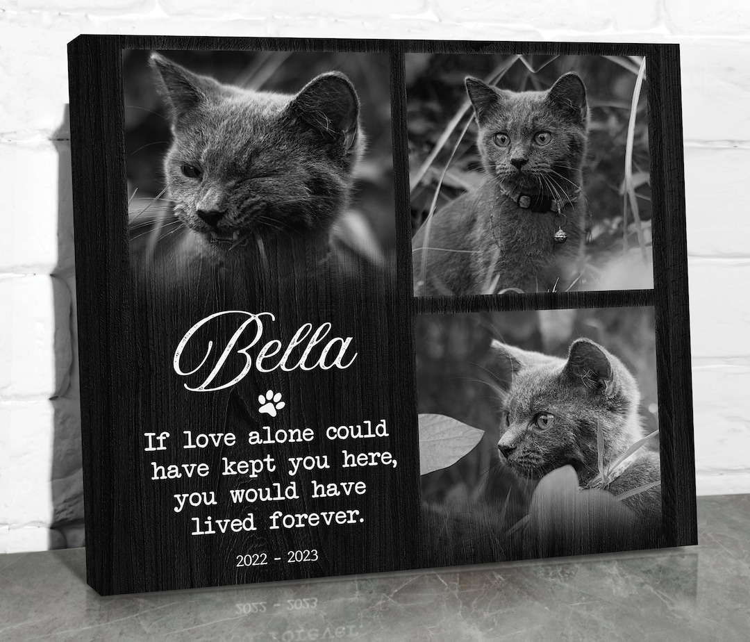 Cat Memorial Gift, Cat Memorial Frame, Pet Loss Photo Print, Pet ...