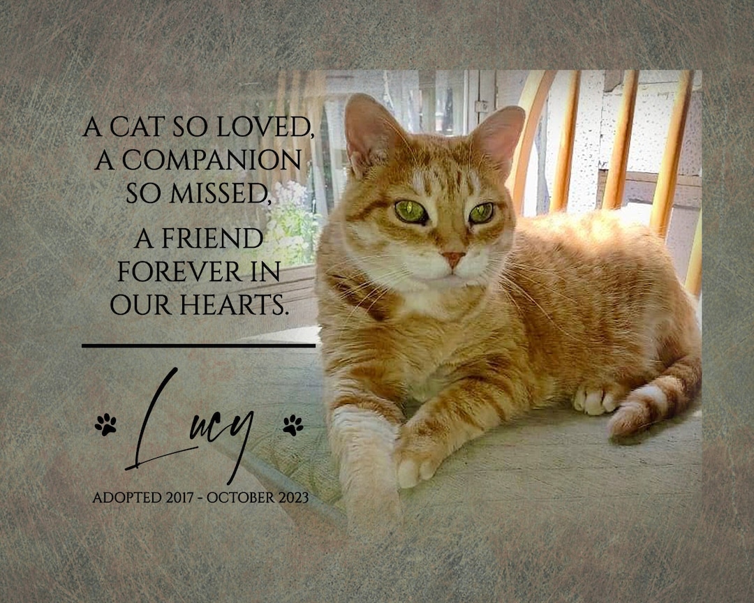 Custom Cat Memorial Gift, Pet Loss Gifts for Owner, Cat Memorial Frame ...