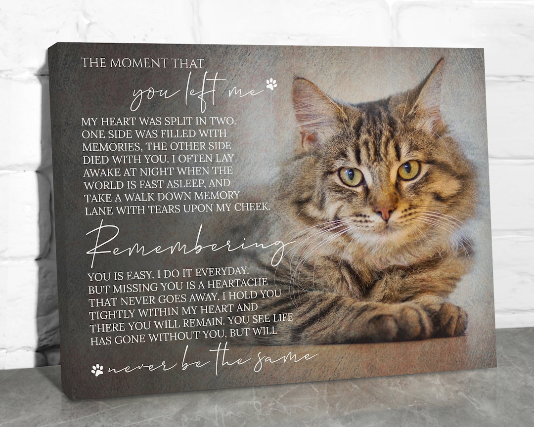 Custom Cat Memorial Gift, Personalized Pet Memorial Photo Print, Pet ...